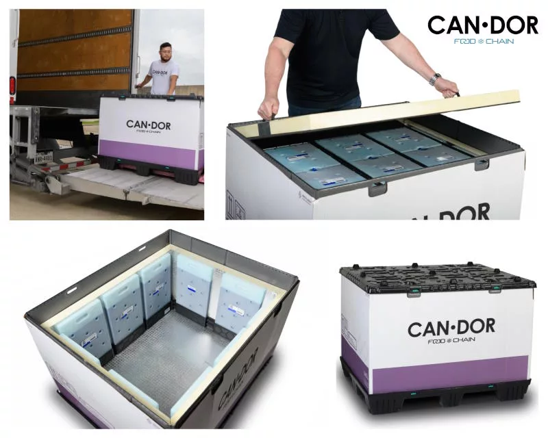 Candor Expedite Unveils Reusable Cold Packaging for Pallet Shipments ...