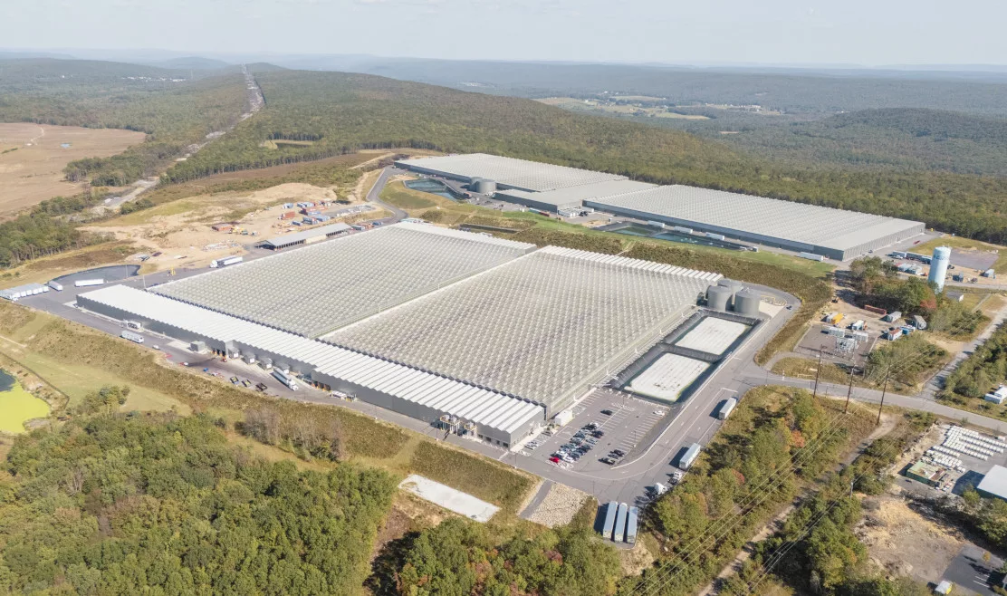 Little Leaf Farms Becomes World's Largest CEA Leafy Greens Producer ...